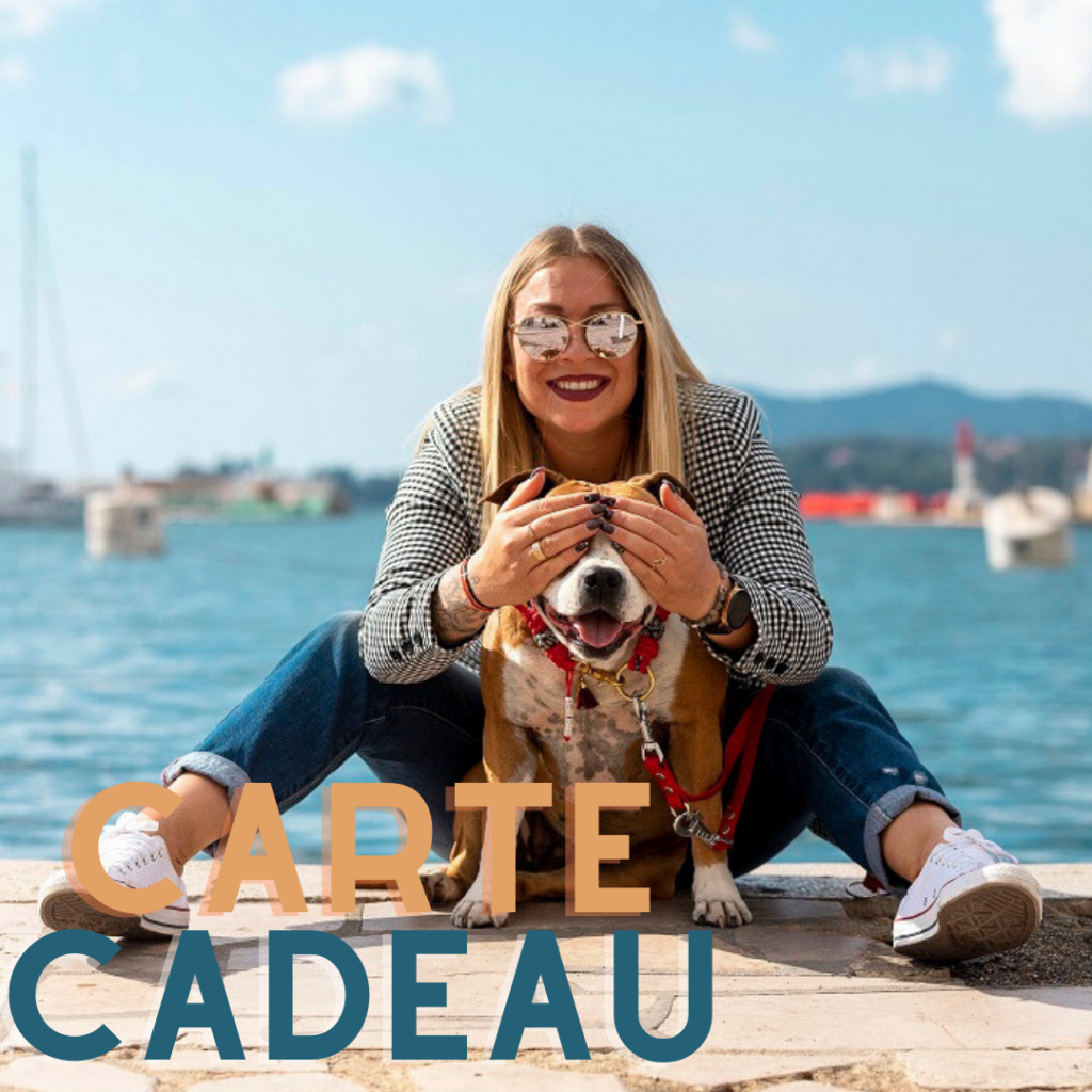 Carte Cadeau E-Boutique - Dog Control